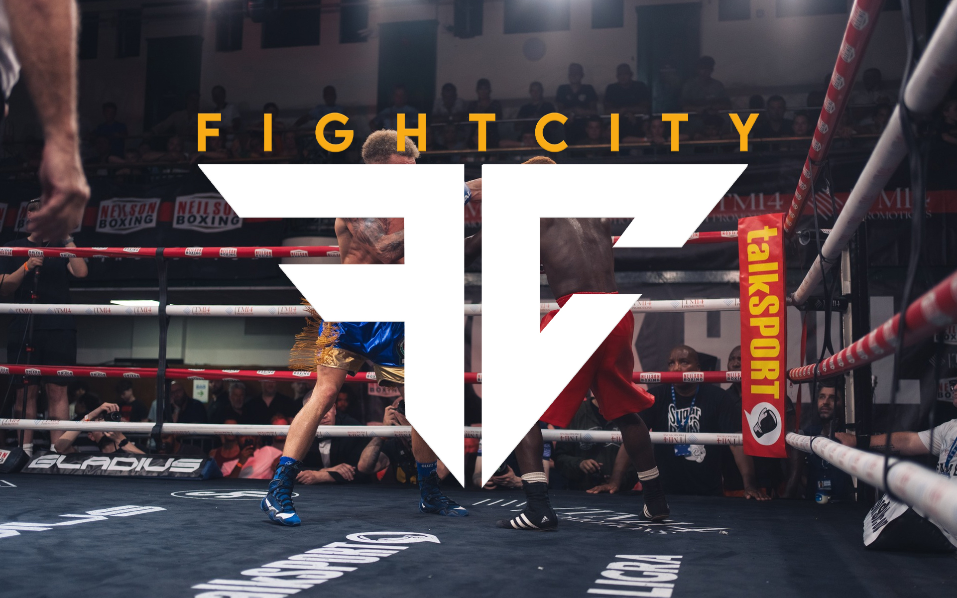 Join FightCity - Fight City